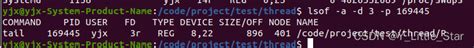 linux下lsof命令的用法 linux的lsof命令用法 csdn博客