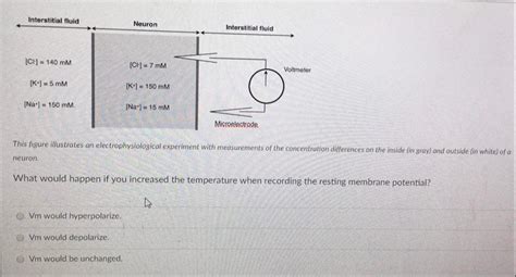 Solved Interstitial Fluid Neuron Interstitial Fluid [ch]