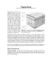 FINGERPRINTING Pdf Fingerprinting By David A Katz All Rights Reserved