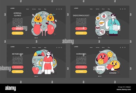 Endocrine System Organs And Disease Web Banner Or Landing Page Human Pituitary Adrenal And