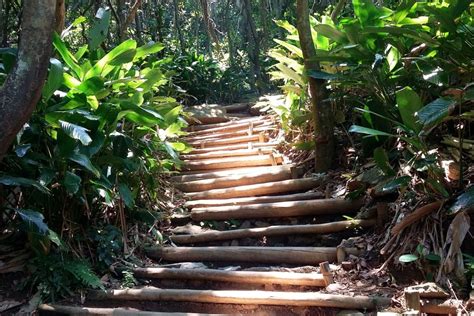 Trilha do Morro da Urca e o Pão de Açúcar Blog de viagens para te
