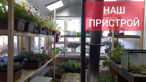 Рассадник для Сибири. Лучше не придумать. - YouTube