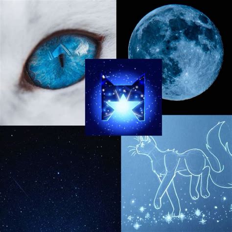 Звёздное племя💫 Кот воитель Котята Кот