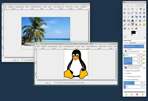 Как сделать прозрачный фон в Gimp Losst