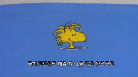 찰리브라운에 있는 핀 스누피 캐릭터 인용구 찰리 브라운