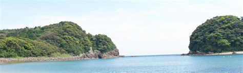 有明小学校pta Blue Ship
