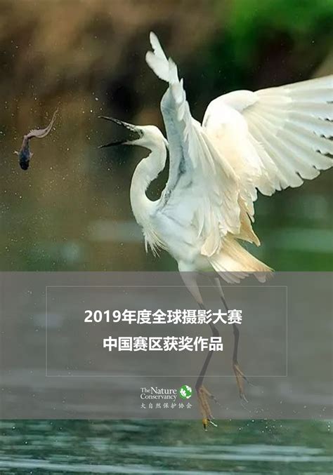 图片资源分享大自然保护协会（tnc