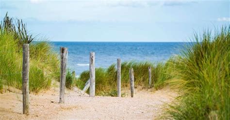 Casal Faz Sexo Na Praia E é Multado Por Não Usar Máscara Mundo O