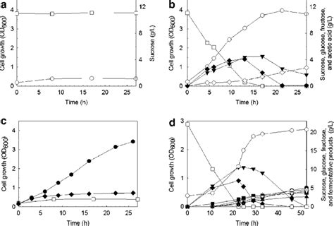 Fermentation Profiles Of E Coli Strains In The Medium Containing