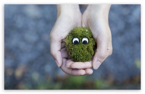 Googly Eyes 4k Uhd Wallpaper For Ultrahd Desktop And Tv Widescreen