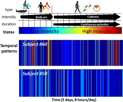 Definition And Visualization Of Temporal Patterns The Information Download Scientific Diagram