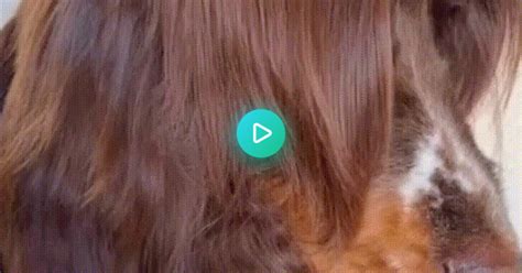 Maybe Shes Born With It Maybe Its Maybelline  On Imgur