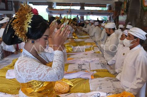 Upacara Potong Gigi Massal Di Bali Antara Foto