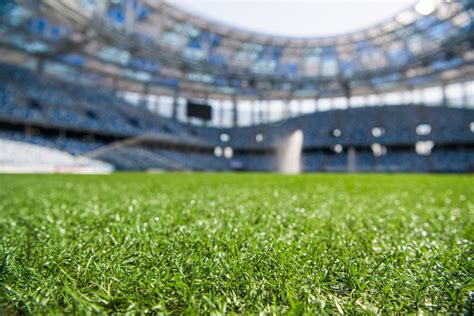 Pasto Sintético Sustituto Perfecto Del Césped Natural Según Ovacen