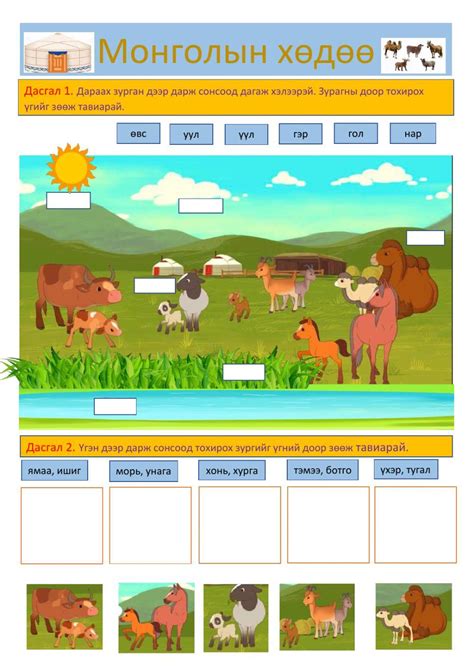 Хөдөө нутаг сөб 1 Online Exercise For Live Worksheets