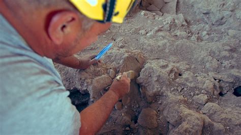 世界遺産 On Twitter 南イタリアのポンペイ遺跡。未公開エリアでの発掘の様子を撮影しました。火山灰の中から、彩色された欠片を