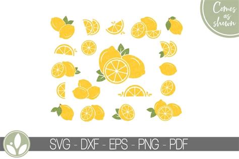 Lemon Svg Bundle Lemonade Svg When Life Gives You Lemons Etsy