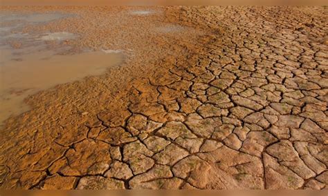 Bengaluru Water Crisis Treated Water To Be Filled In Drying Lakes To