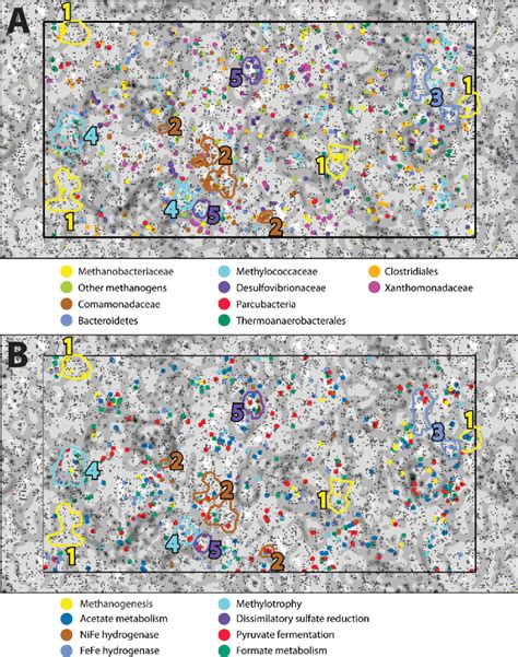 An Emergent Self Organizing Map Esom Constructed With The Download Scientific Diagram