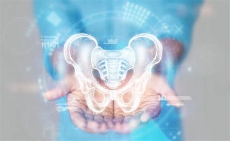 Pelvic Floor Physiotherapy Curezone Physiotherapy