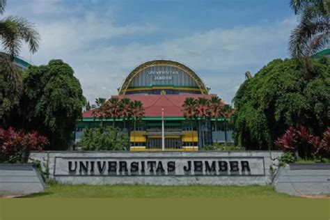 Universitas Terbaik Di Jember Bisa Jadi Referensi Jalur Mandiri