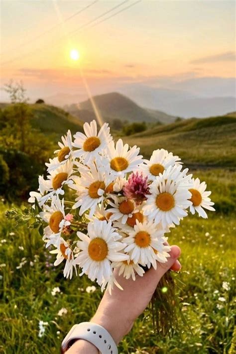گالری زیباترین عکس های دختر با گل برای پروفایل 2019 تــــــــوپ