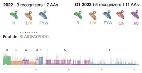 Detection Of Arginine Post Translational Modifications By Single