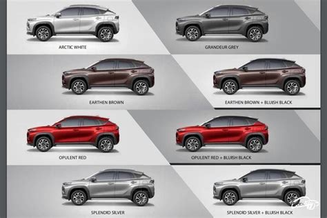 Maruti Suzuki Fronx All Colour Options Explained Gaadify
