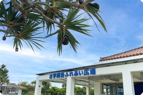 私たちについて 古宇利島の駅 ソラハシ