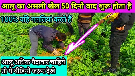 आलू खेती में ये बाते जरूर जानलो बंपर पैदावार लेनी है तो Aalu Ki Kheti