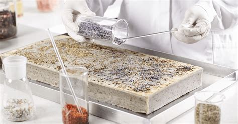 Precision Fermentation Innohealth Magazine