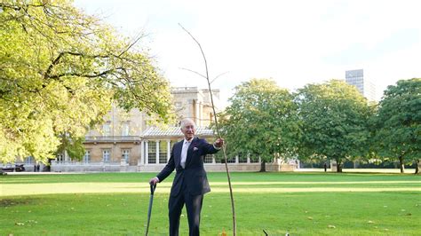 King Charles Iii Got The Inside Scoop About Cop27 At A Buckingham