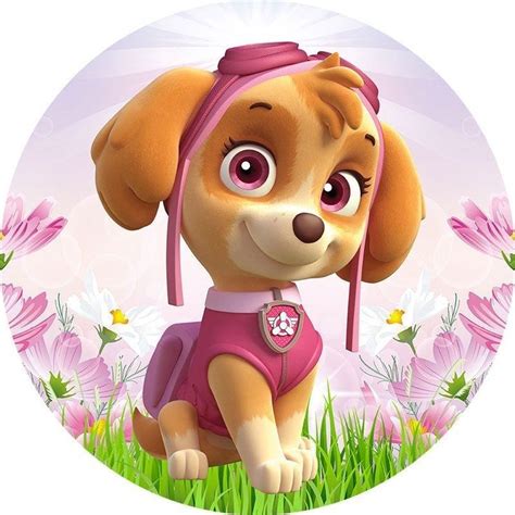 Pin De Yanira Sayas Em Pawpatrol Skye Patrulha Canina Paw Patrol