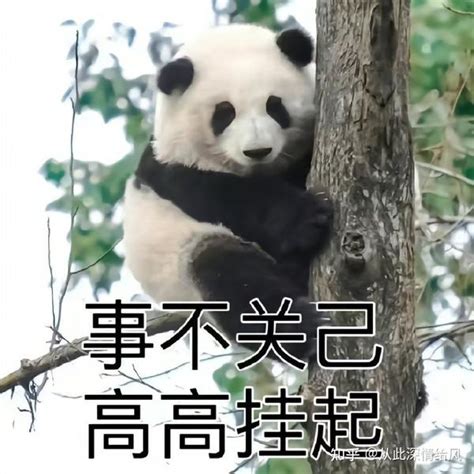 熊猫表情包 自取 知乎