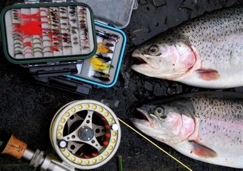 Winter Fly Fishing In Devon Top Trout Fisheries And Fly Patterns H