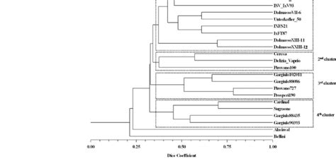 dendrogram of genetic similarity based on dice coefficient among