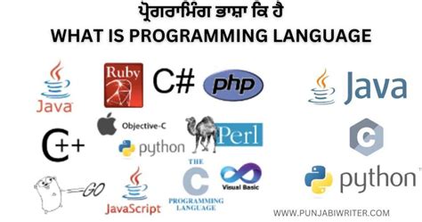 Programming Language ਪ੍ਰੋਗਰਾਮਿੰਗ ਭਾਸ਼ਾ For Beginners Type Punjabi