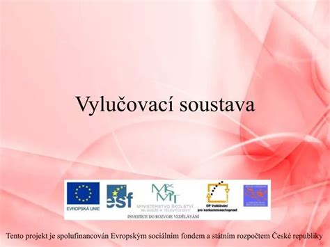 PPT Vylučovací soustava PowerPoint Presentation free download ID