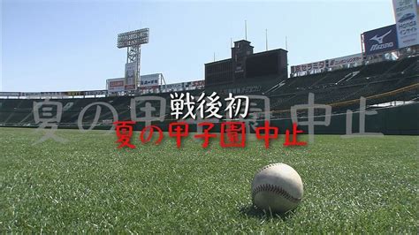夏の甲子園が中止に「頭が真っ白」「ずっと目標だったのに」。3年後のいま、元高校野球球児たちが再集結したワケ｜sitakke【したっけ】