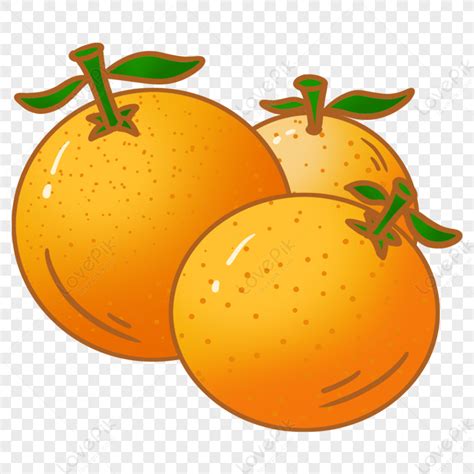 오렌지 일러스트 클립 아트 Orangeclipart 선화과일주황 Png 일러스트 무료 다운로드 Lovepik