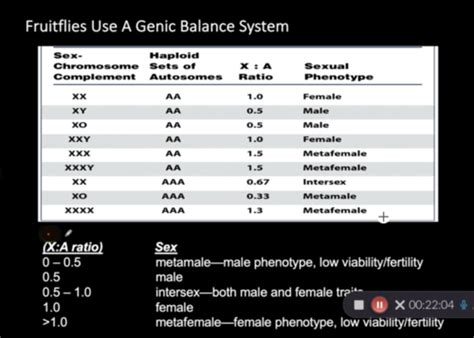 Genetics E2 Sex Determination And Sex Linked Traits And Disorders