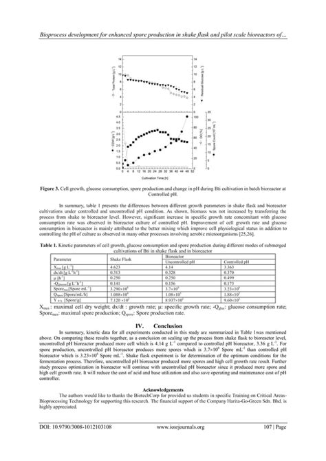 Bioprocess Development For Enhanced Spore Production In Shake Flask And Pilot Scale Bioreactors
