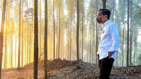 Presiden Jokowi Tegaskan Tidak Perlu Ragu Dan Bimbang Dengan Ikn