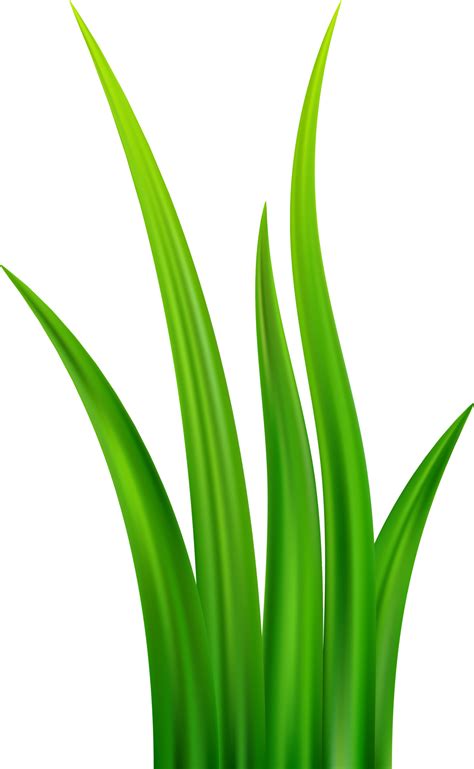 Green Grass Meadow Border 38945619 Png