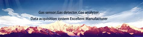 Portable Diffusion Single Gas Detectorgas Sensorgas Detectorgas