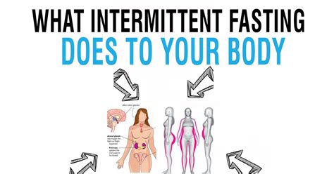 What Intermittent Fasting Does To Your Body