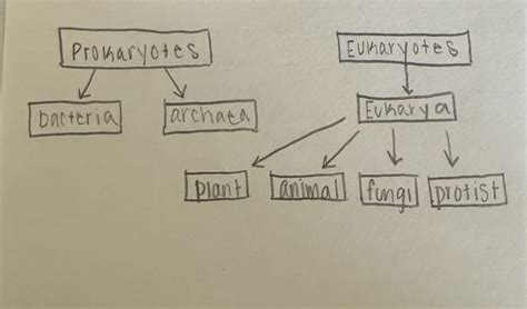 Chapter 1 5 Exam Flashcards Quizlet