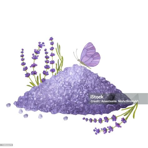 보라색 바다 소금 더미와 라벤더 꽃 나비 아로마 테라피 스파 목욕 손으로 흰색 배경에 분리된 수채화 그림을 그립니다 디자인