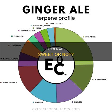 Ginger Ale Sweet Or Not Cysoda