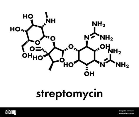 Chemical Structure Streptomycin Tuberculosis Antibiotic Stock Vector